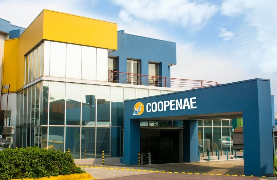 Coopenae becará a 200 madres para capacitarlas en finanzas - La Esquina 506