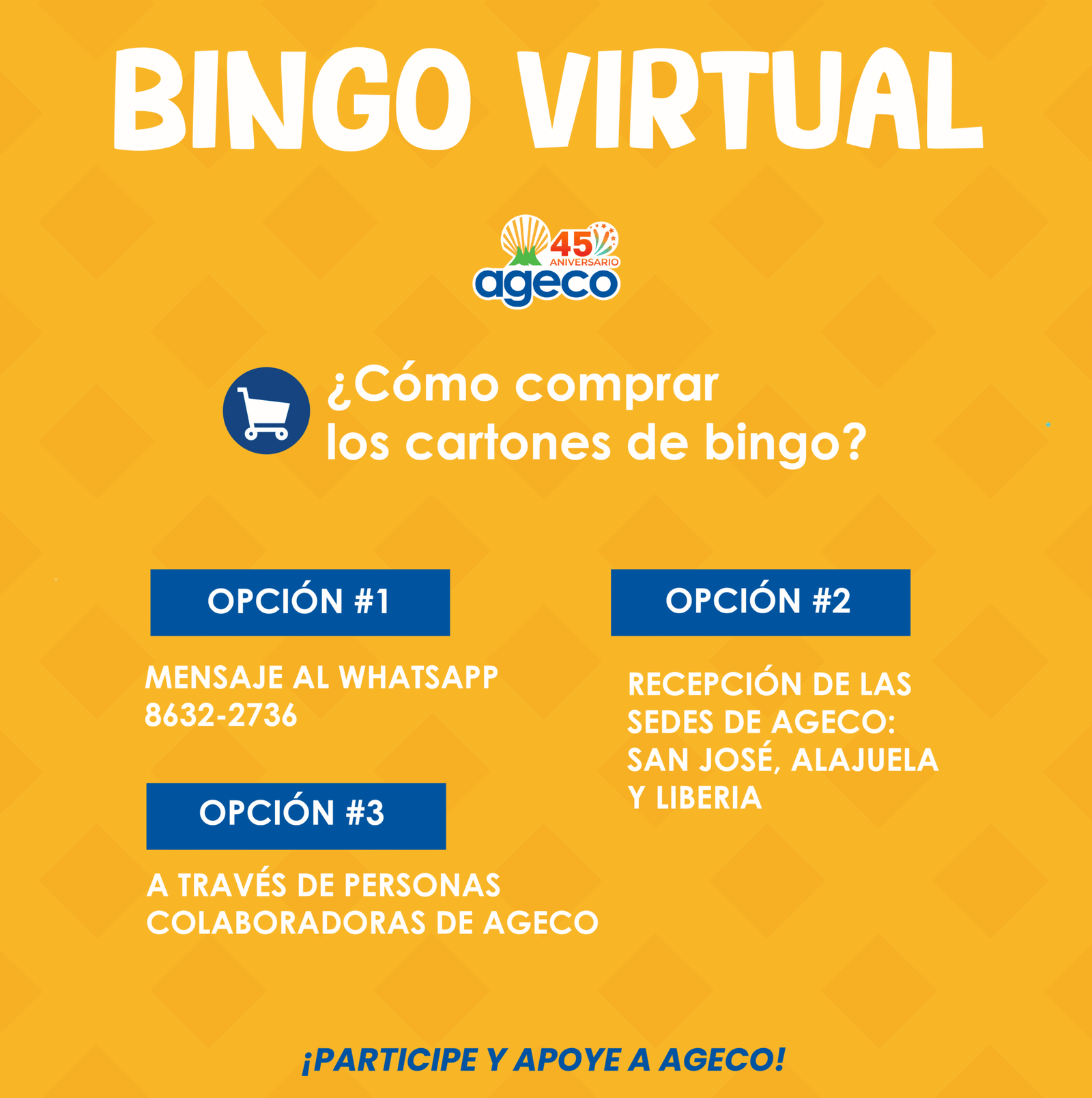 AGECO realizará bingo con premio de un millón de colones - La Esquina 506